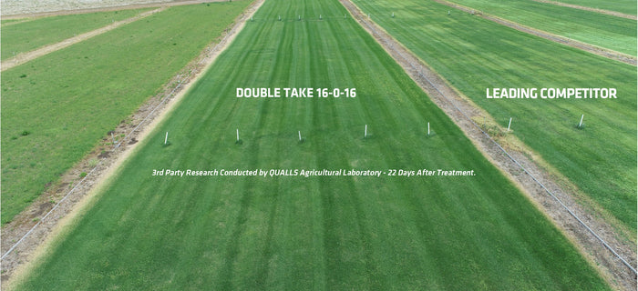 Research – Curb Appeal